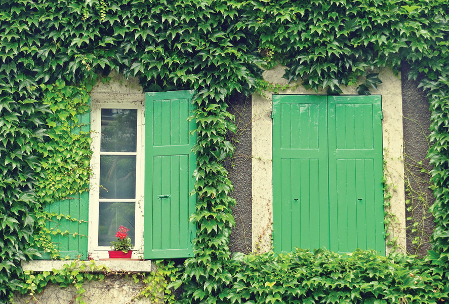 Grüner Hügel - Ania Markiewicz Postkarte | Postallove Shop